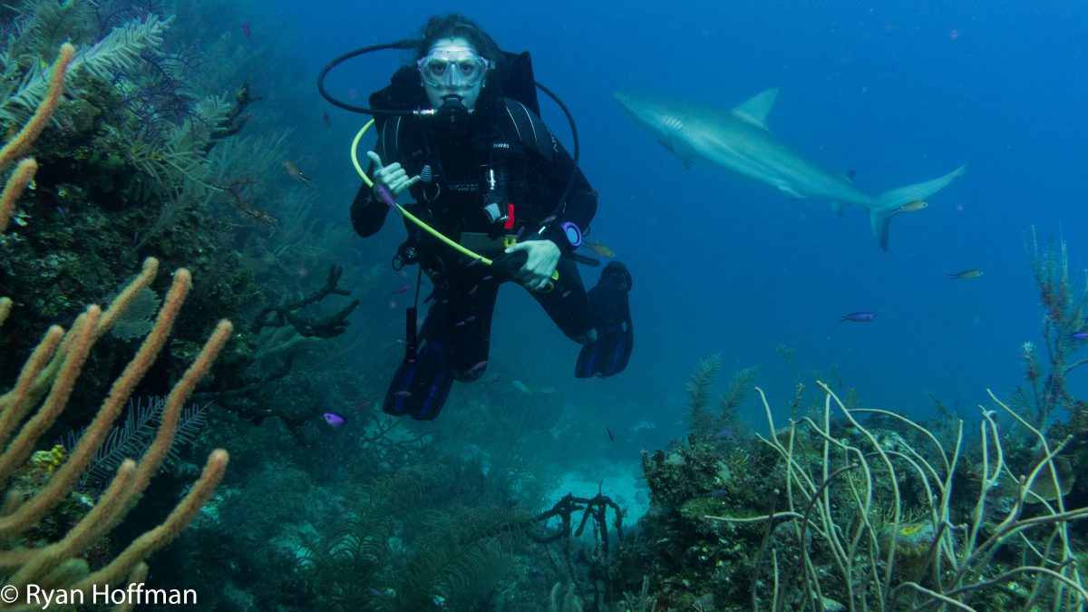 Dive Travel - Scuba Network